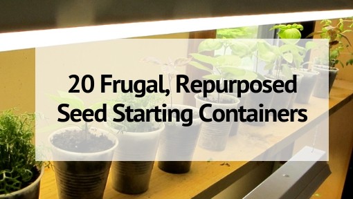 20 Frugal, Repurposed Seed Starting Containers to Start Your Seeds In
