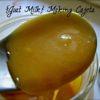 {Cajeta Recipe} How to Make Goat Milk Caramel Sauce!