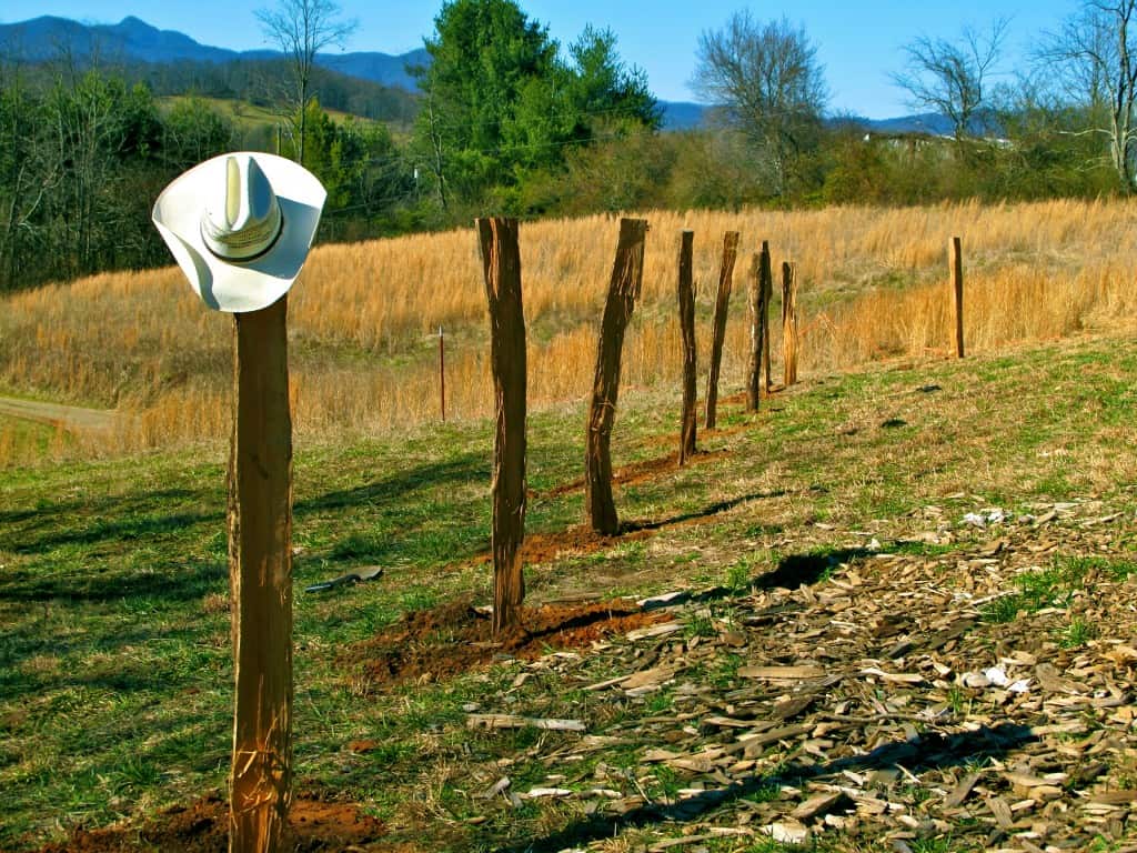 The Ultimate Guide to Your Farm Fencing Options