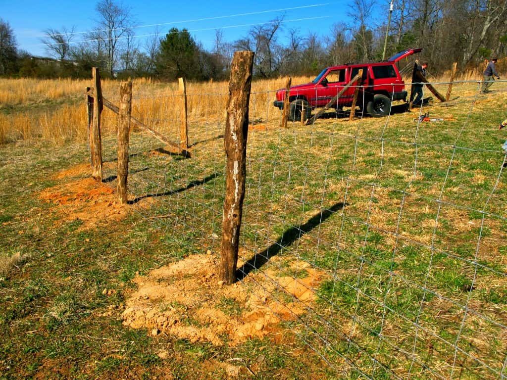 The Ultimate Guide to Your Farm Fencing Options