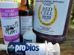 8 Must Have Nutritional Supplements for Goats (For the Healthiest Herd!)