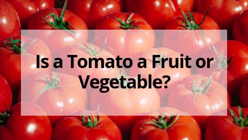 Is a Tomato a Fruit or Vegetable?