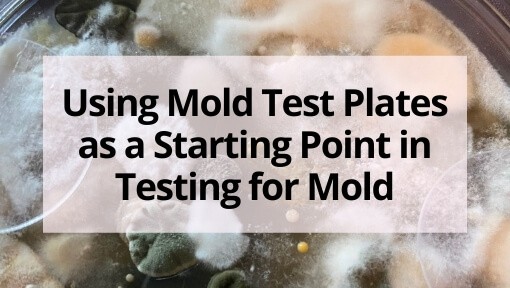 Using Mold Test Plates as a Starting Point in Testing for Mold