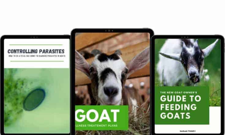 The Busy Homesteader's Goat Management Binder