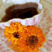 Simple Calendula Tea Recipe + Benefits