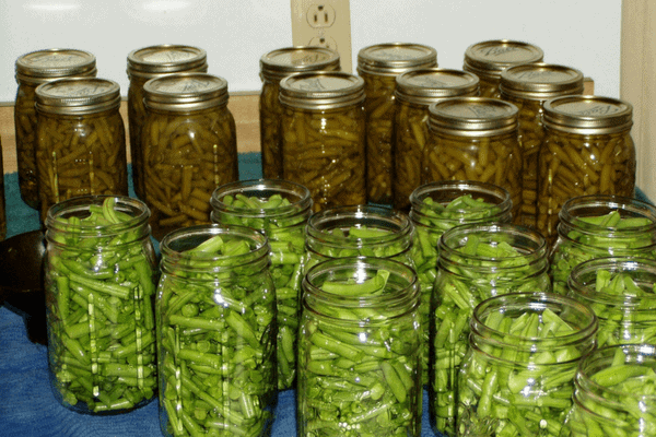 100+ Home Canning Recipes and Resources