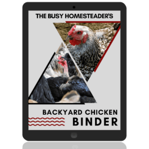 The Busy Homesteader's Backyard Chicken Binder - The Free Range Life
