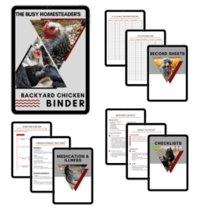 Chicken Coop Necessities: 6 Things Your Coop Must Have