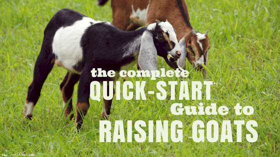 The Complete Quick Start Guide to Raising Goats - The Free Range Life