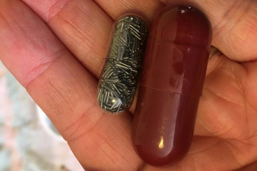 How to Give a Copper Bolus to Your Goat the Easy Way