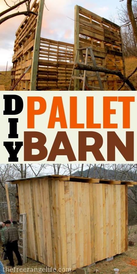 How to Make a Pallet Barn for Your Livestock!
