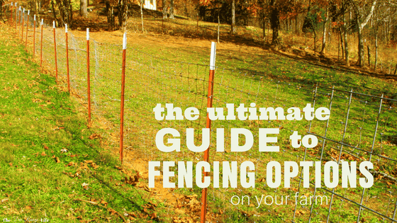 The Ultimate Guide to Fence Options of the Farm - The Free Range Life