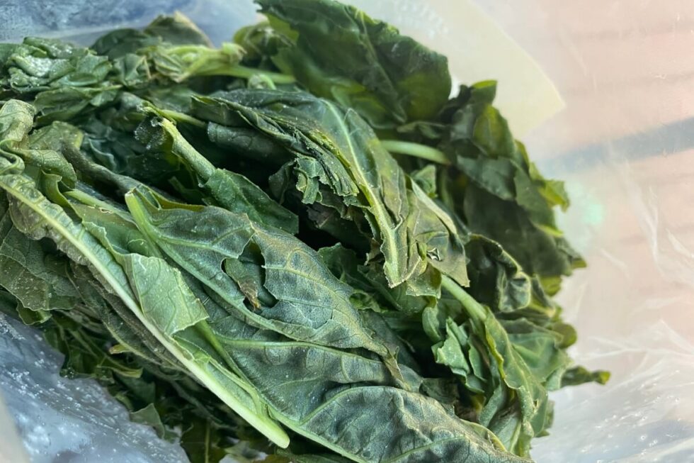 How to Freeze Basil for Year Round Use