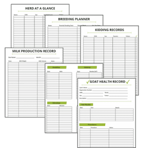 The Busy Homesteader's Goat Management Binder