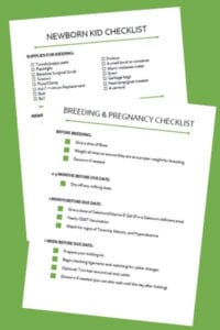 Goat Gestation Calculator to Calculate Your Goat's Due Date