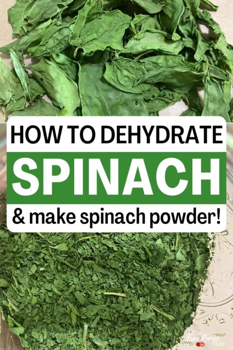 How to Dehydrate Spinach (& Make Spinach Powder!)