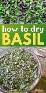 How to Dry Basil- 2 Easy Methods for Drying Basil
