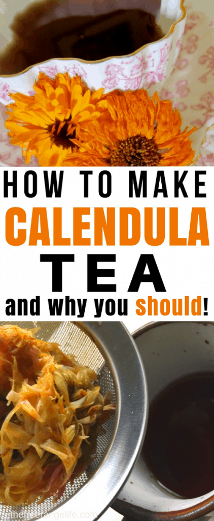 Simple Calendula Tea Recipe + Benefits