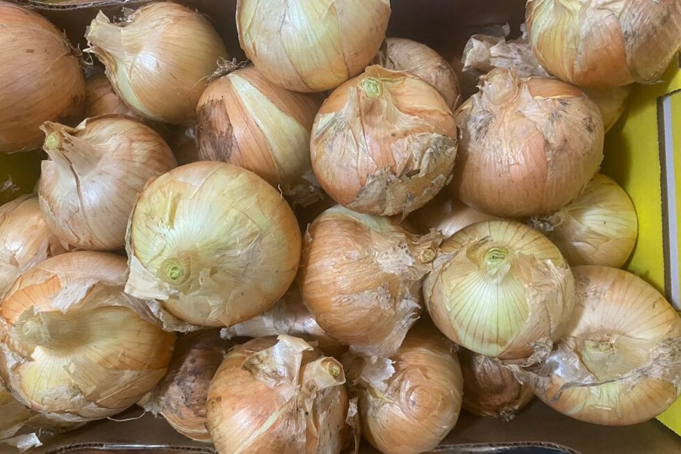 How to Preserve Onions- 5 Different Ways!