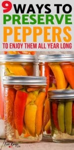 Preserving Peppers: 9 Ways to Preserve Peppers At Home