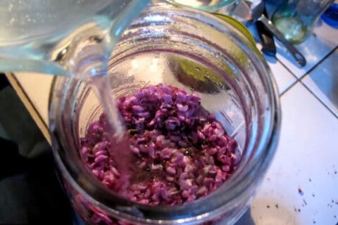 How to Make (and Can) Redbud Jelly at Home
