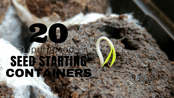 20 Frugal, Repurposed Seed Starting Containers - The Free Range Life