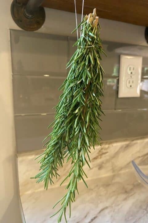 How to Dry Rosemary