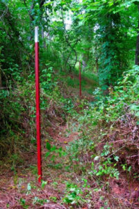 The Ultimate Guide to Your Farm Fencing Options