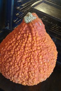 10 Fabulous Types of Winter Squash to Grow (and Eat!)