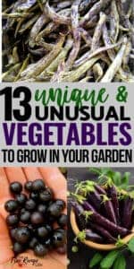 13 Unique and Unusual Vegetables for Your Garden