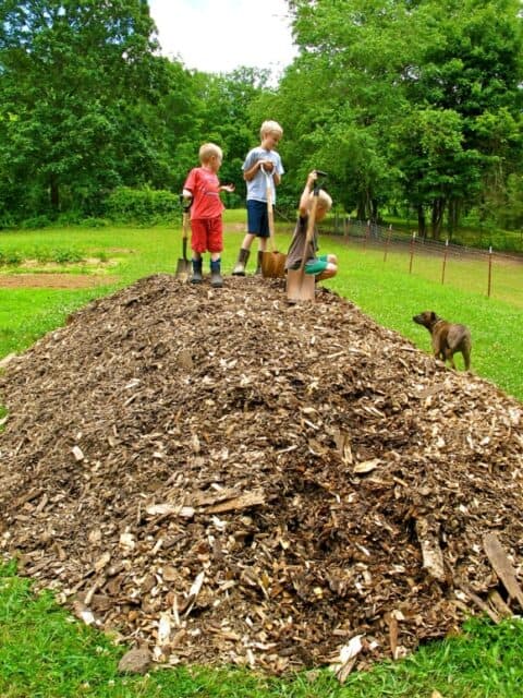8 Simple Ways to Improve Your Garden Soil for Free